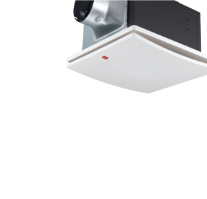 17CUBM - KDK Fans Malaysia