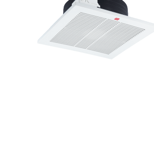 20TGQF - KDK Fans Malaysia